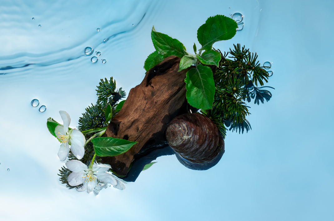 The Story of Messi, The Fragrance | Unveiling Greatness | Messi Fragrances